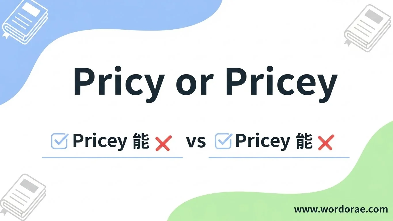 Pricy or Pricey? Correct Spelling, Meaning & Examples (UK & US)